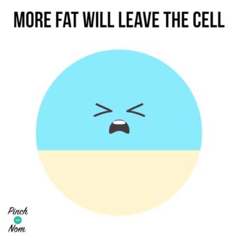 The Whoosh Effect Explained - Pinch Of Nom Slimming Recipes